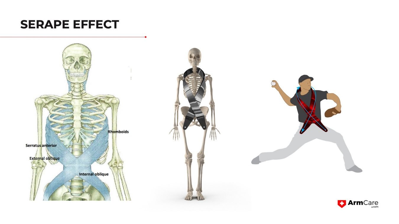 How to Train Better Hip-Shoulder Separation – ArmCare
